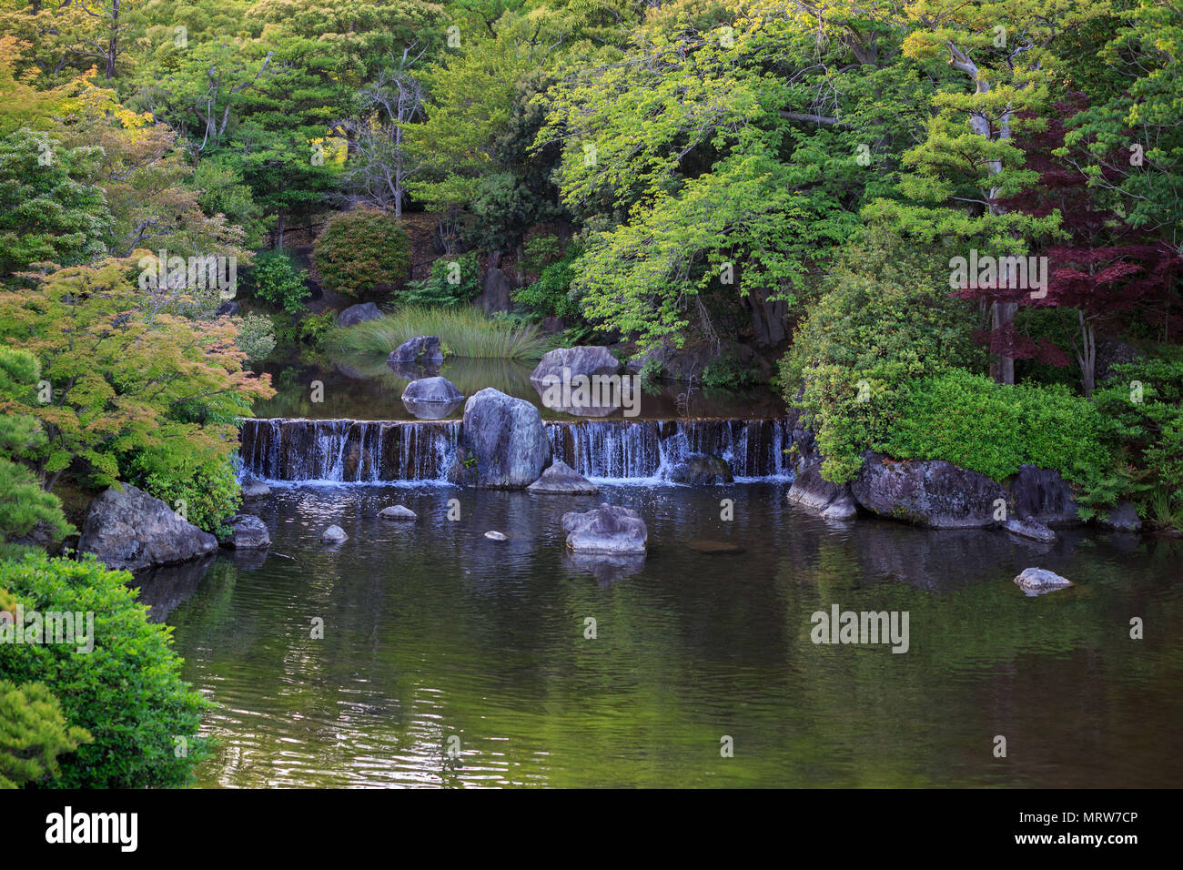 Small waterfall in Japanese Garden at Ryokuchi Koen Stock Photo - Alamy