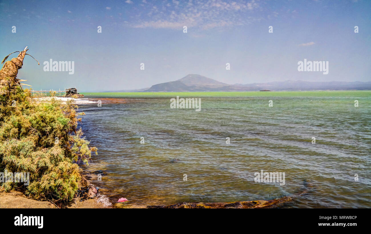 Salt Lake Afrera aka Lake Afdera or Giulietti or Egogi at Danakil Afar ...