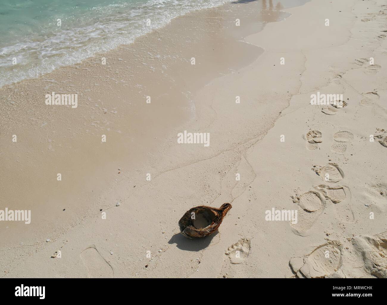 A coconut husk among footprints in a white sandy beach Stock Photo - Alamy