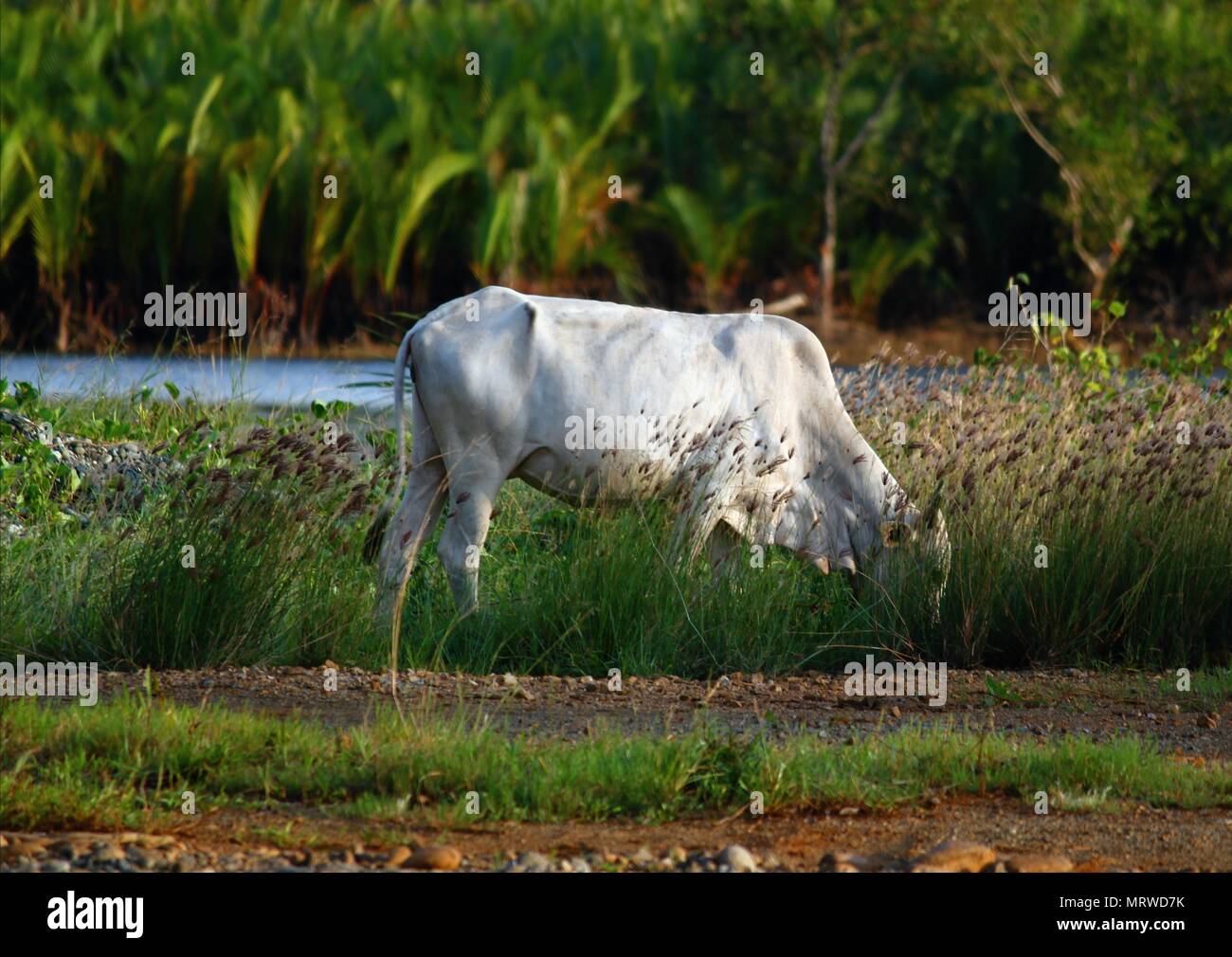 Face partly hidden hi-res stock photography and images - Alamy