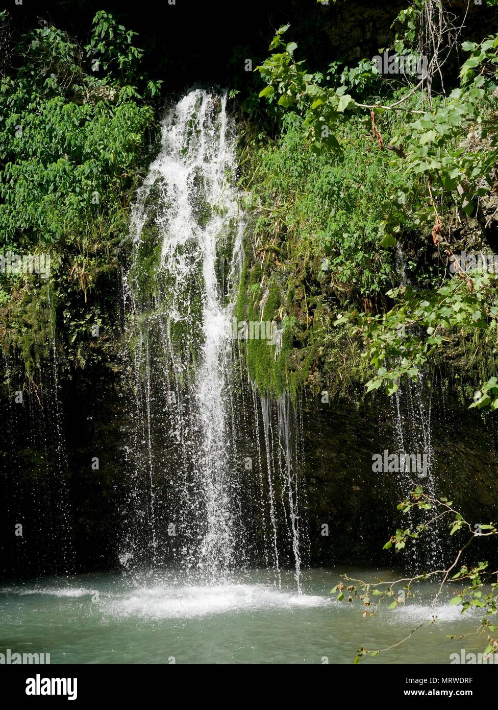 Curtains of dripping water from a small waterfall is a sight to behold ...