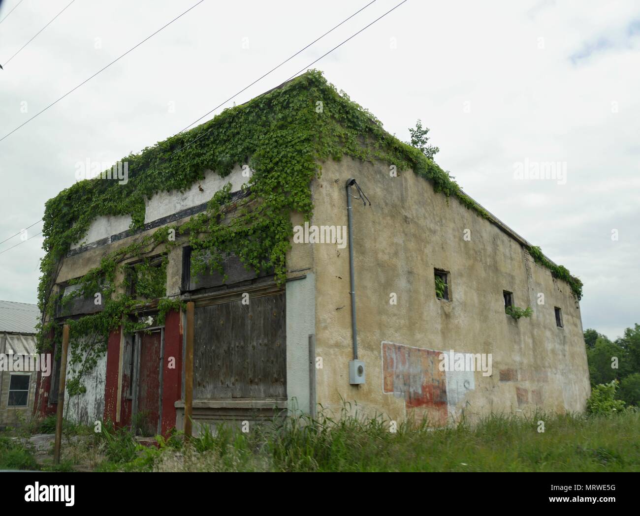 Plants growing out of windows hi-res stock photography and images - Alamy