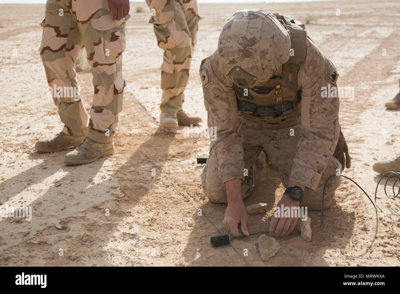 Counter i e d class hi-res stock photography and images - Alamy