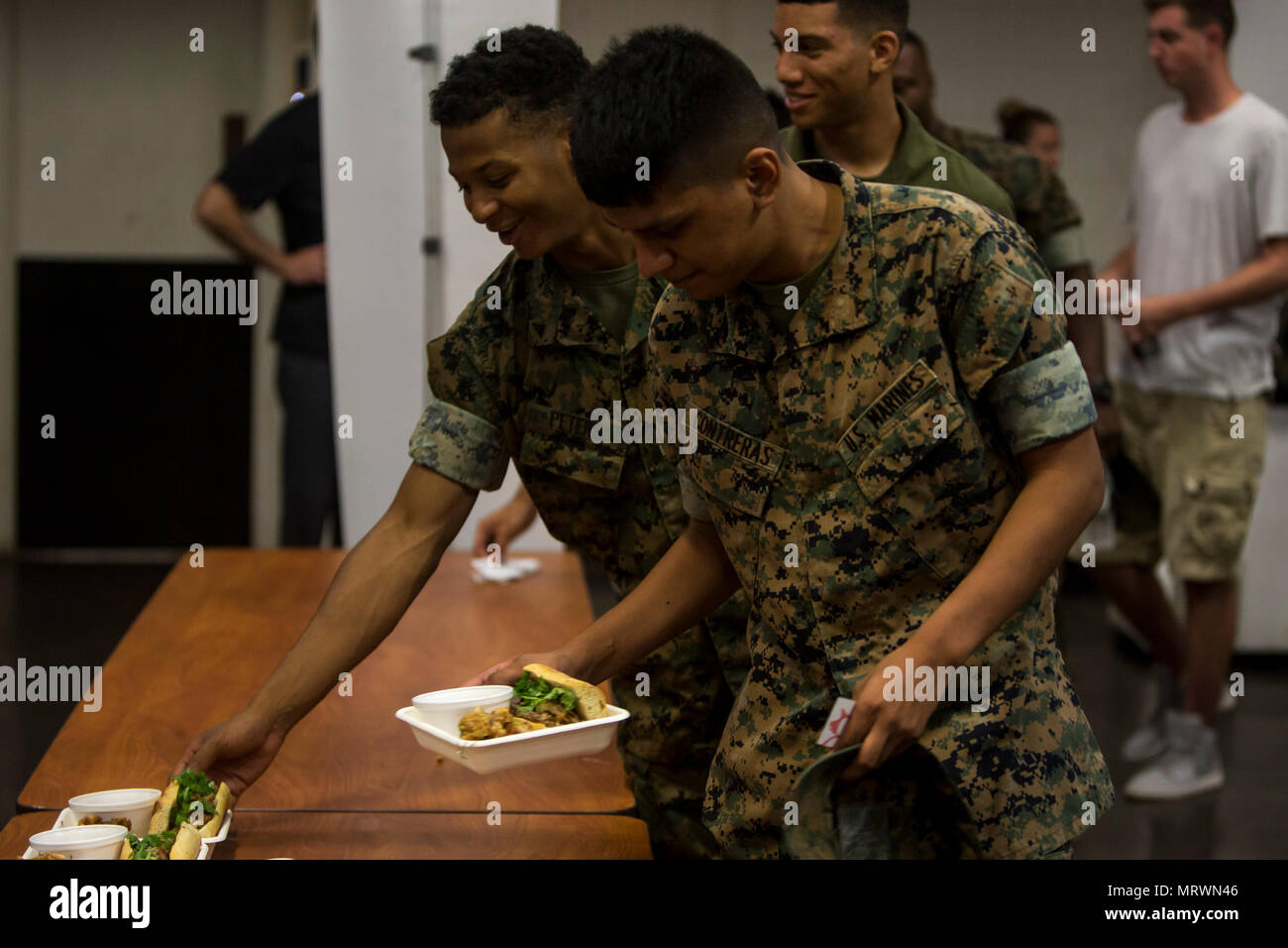 Donor pig hi-res stock photography and images - Alamy