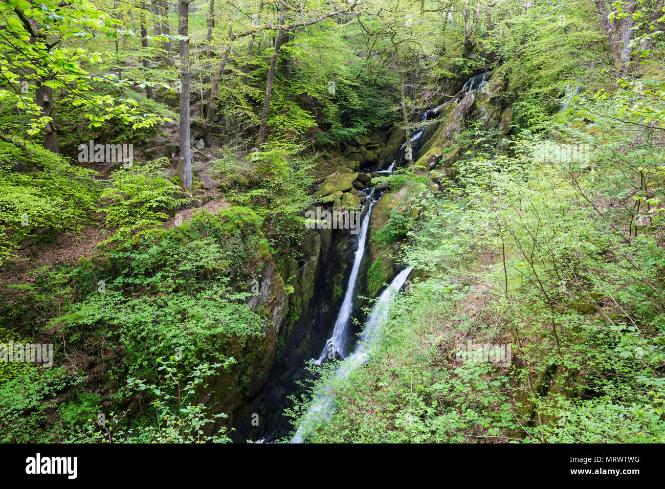 Waterfall at Stock Ghyll Force near Ambleside in the Lake District ...
