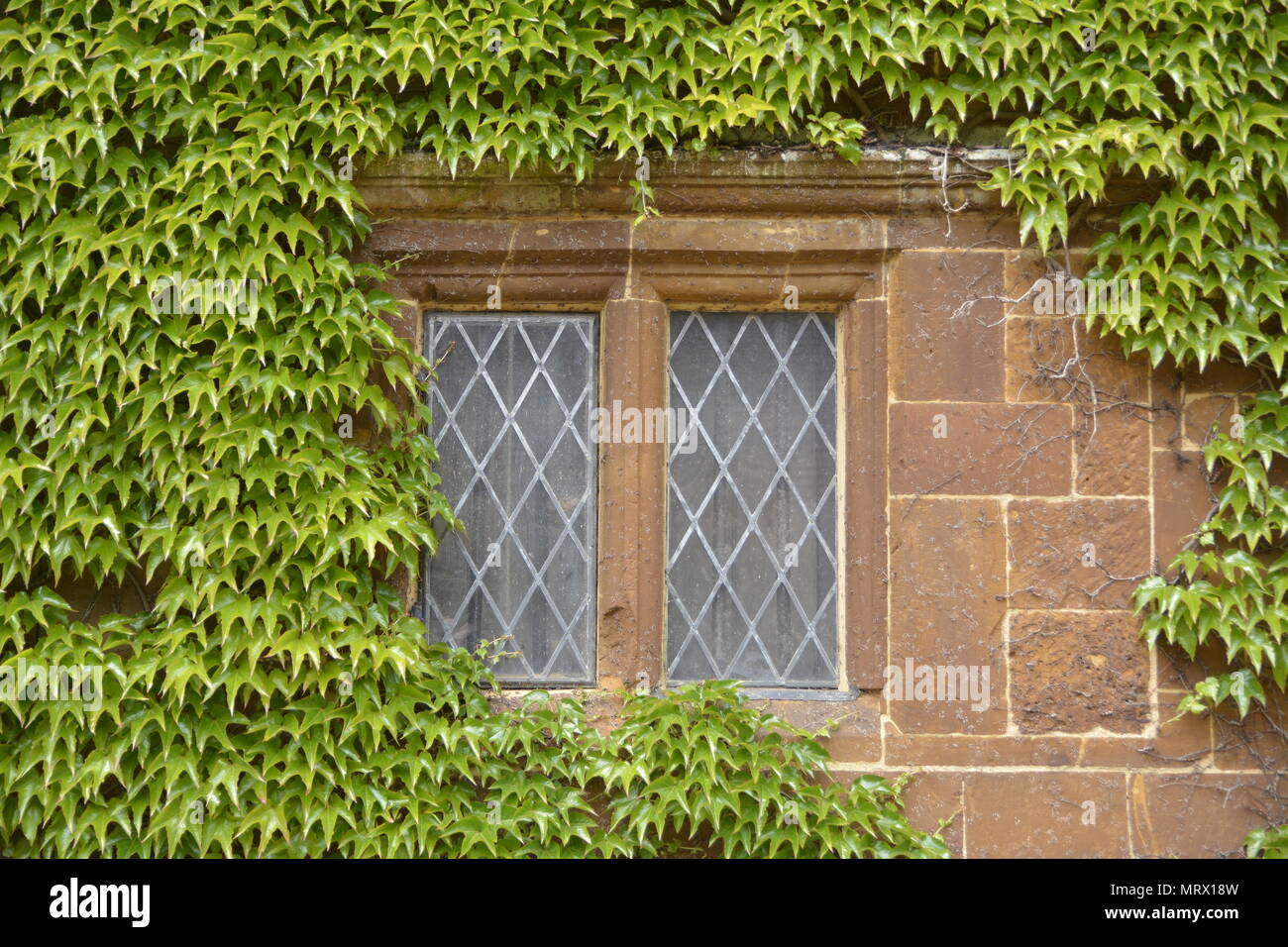 Stone Window, Canons Ashby House, Northamptonshire Stock Photo - Alamy