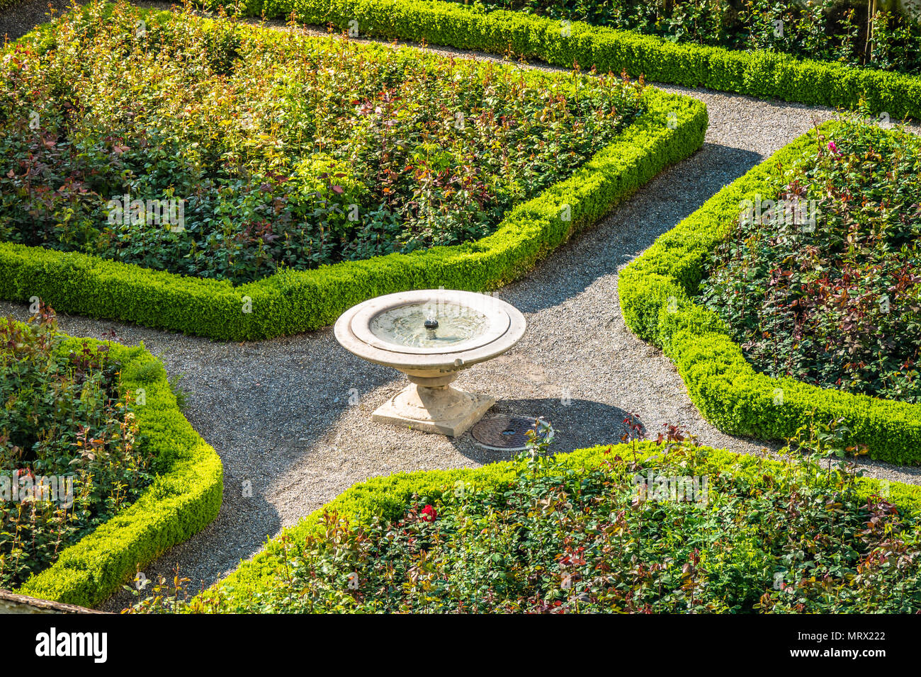 Rose gardens, Rapperswil castle on the shores of the Upper Zurich Lake ...