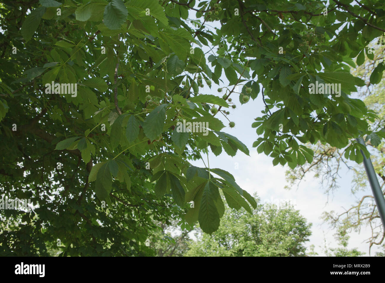 Blue intense sky hi-res stock photography and images - Alamy