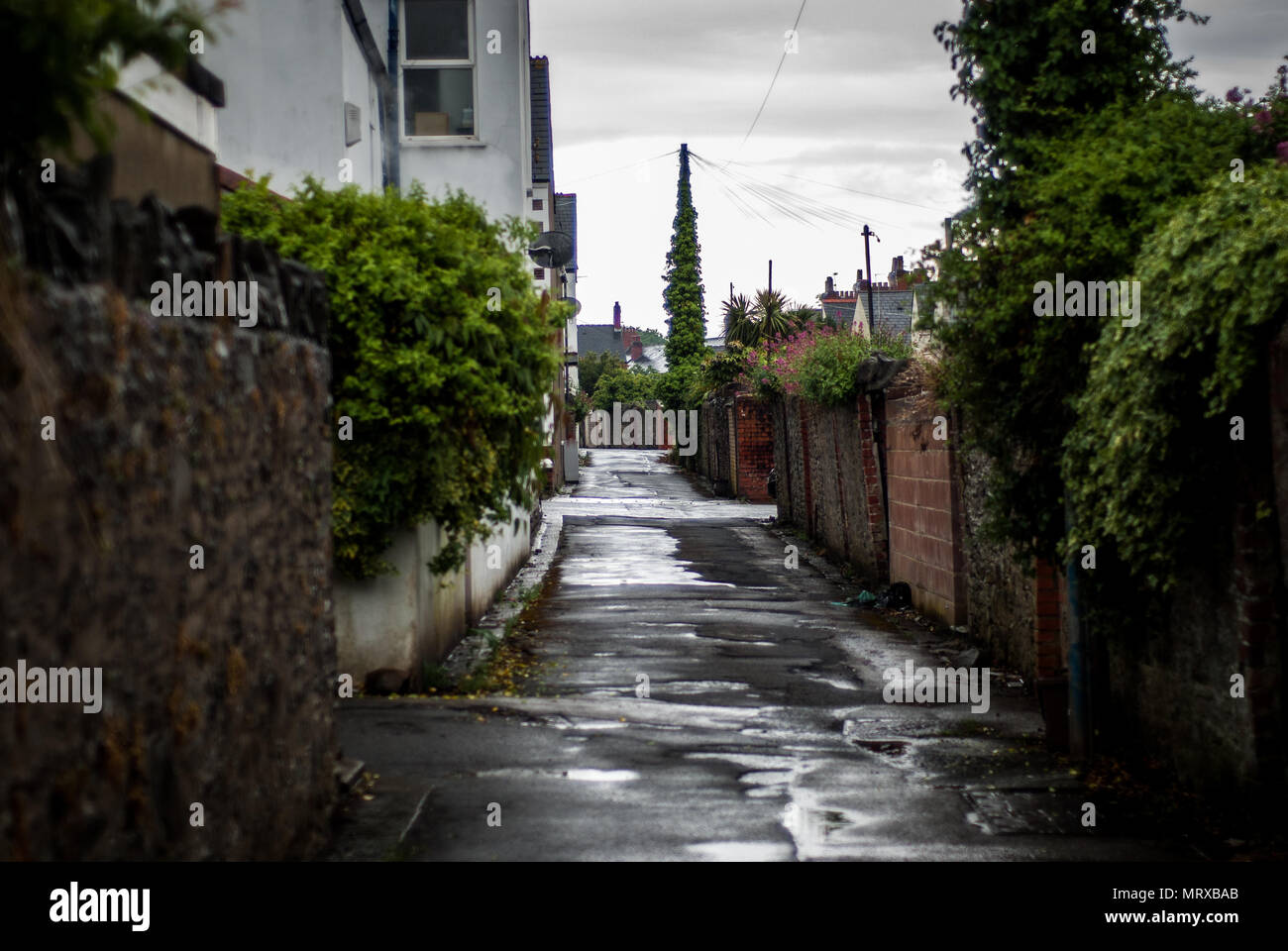 Urban Alleyway Wet Road Stock Photo - Alamy