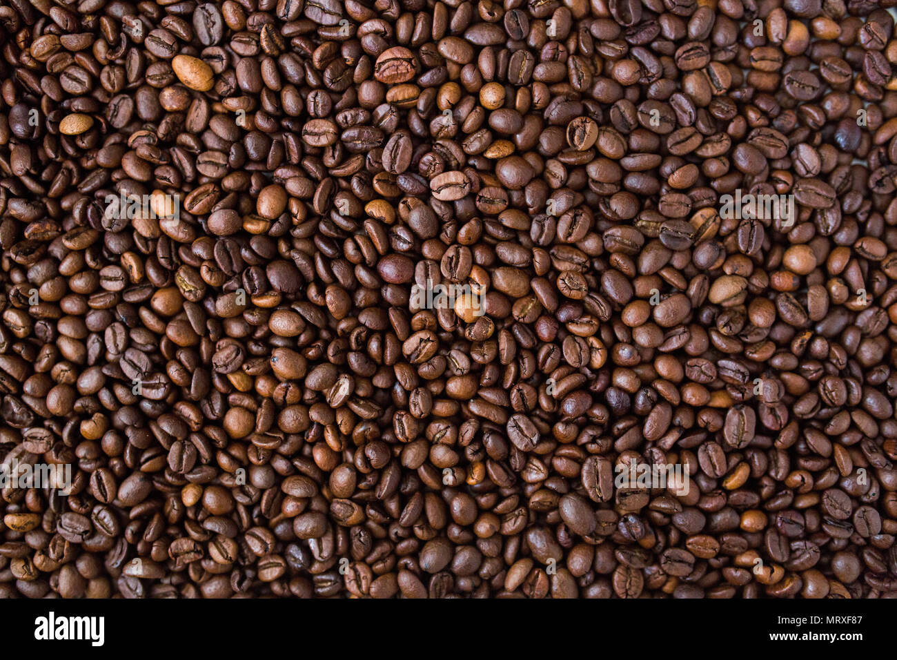 Large brown coffee beans, food background of coffee beans Stock Photo ...