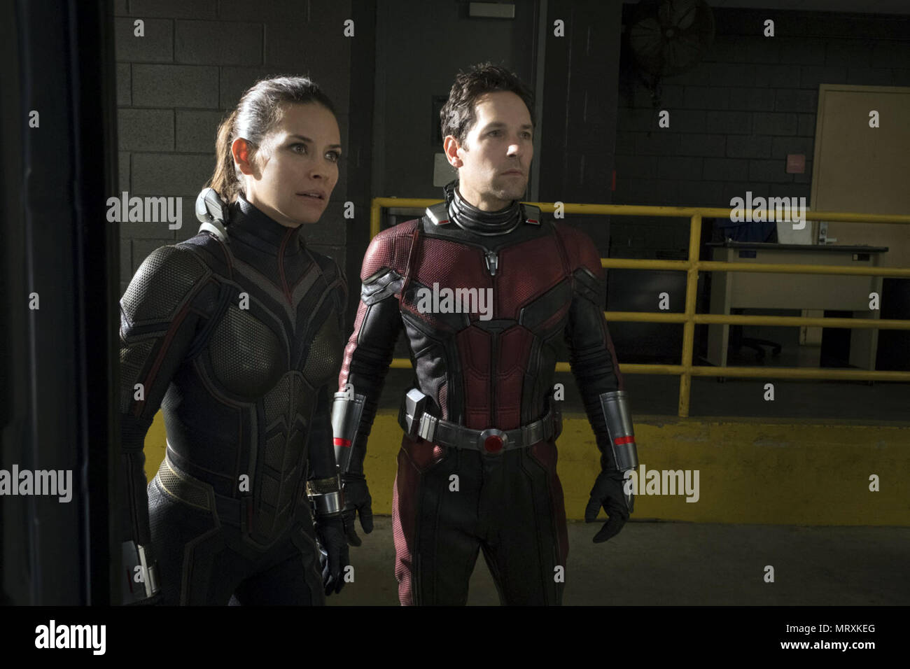Ant-Man and the Wasp is an upcoming American superhero film based on ...