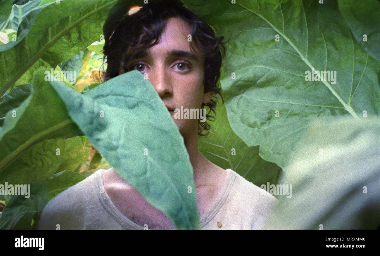 Happy as Lazzaro (Italian: Lazzaro Felice) is a 2018 Italian drama film ...