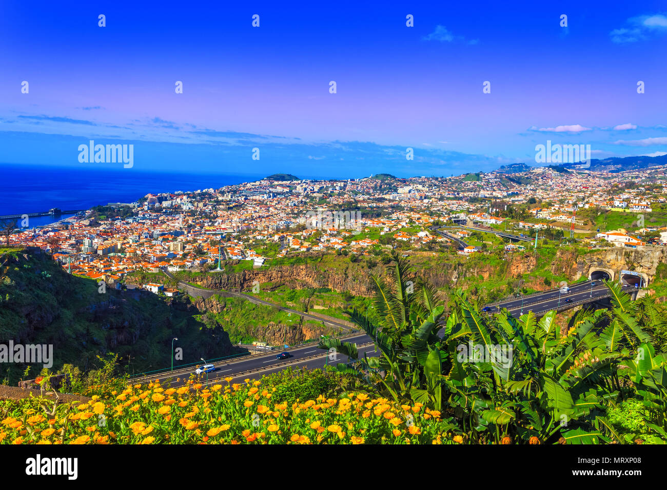 Cityscape of Funchal, Madeira island, Portugal Stock Photo - Alamy