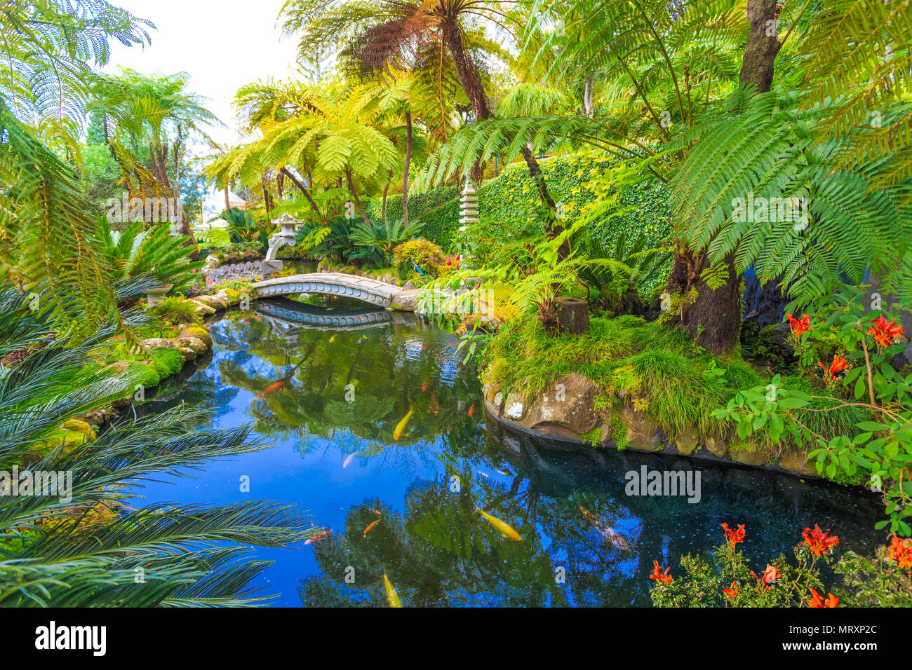 Jardim Tropical Monte Palace, Caminho do Monte, Funchal, in Madeira ...