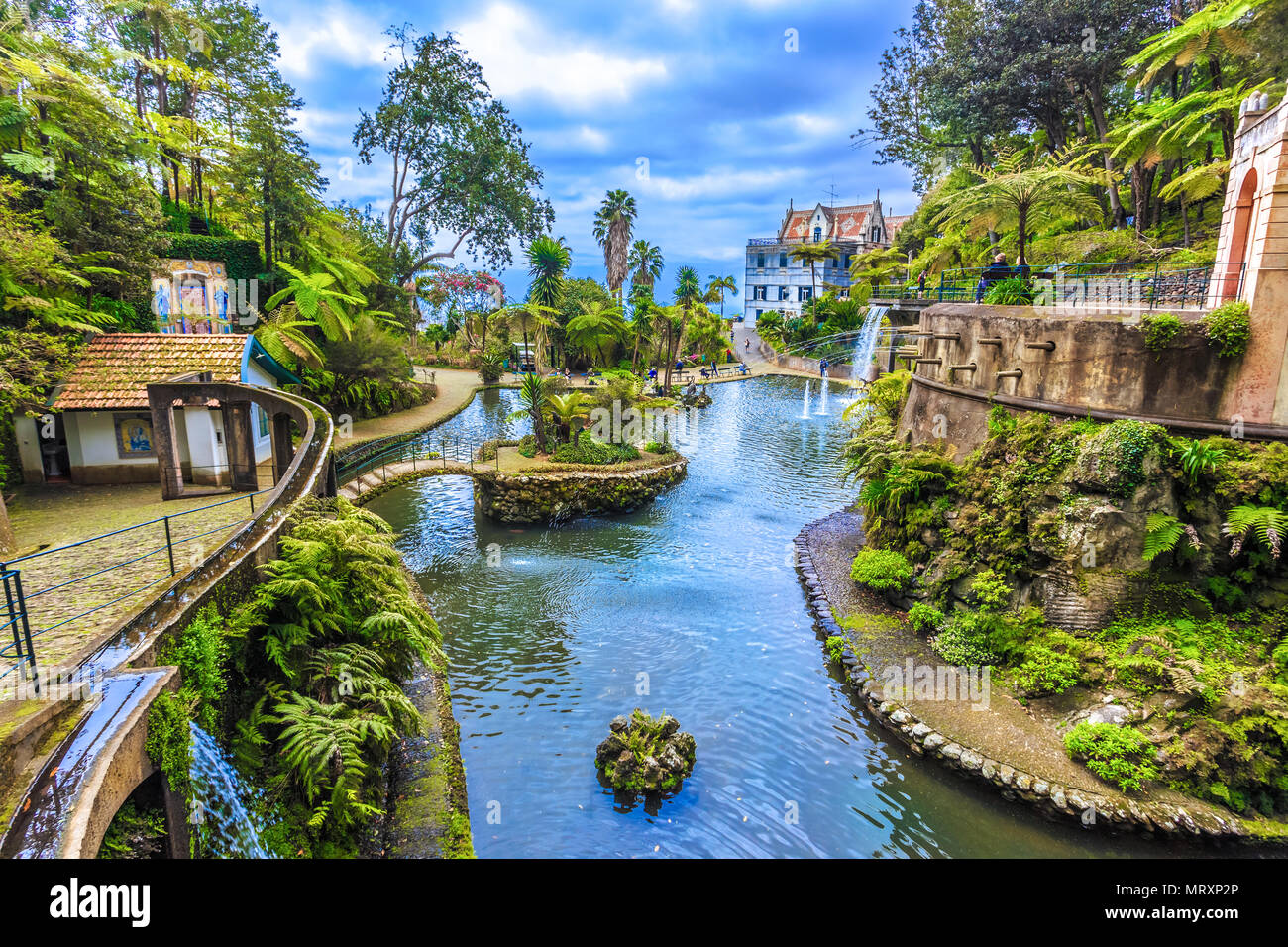 Panoramic view of tropical garden in the summer season. Madeira island ...