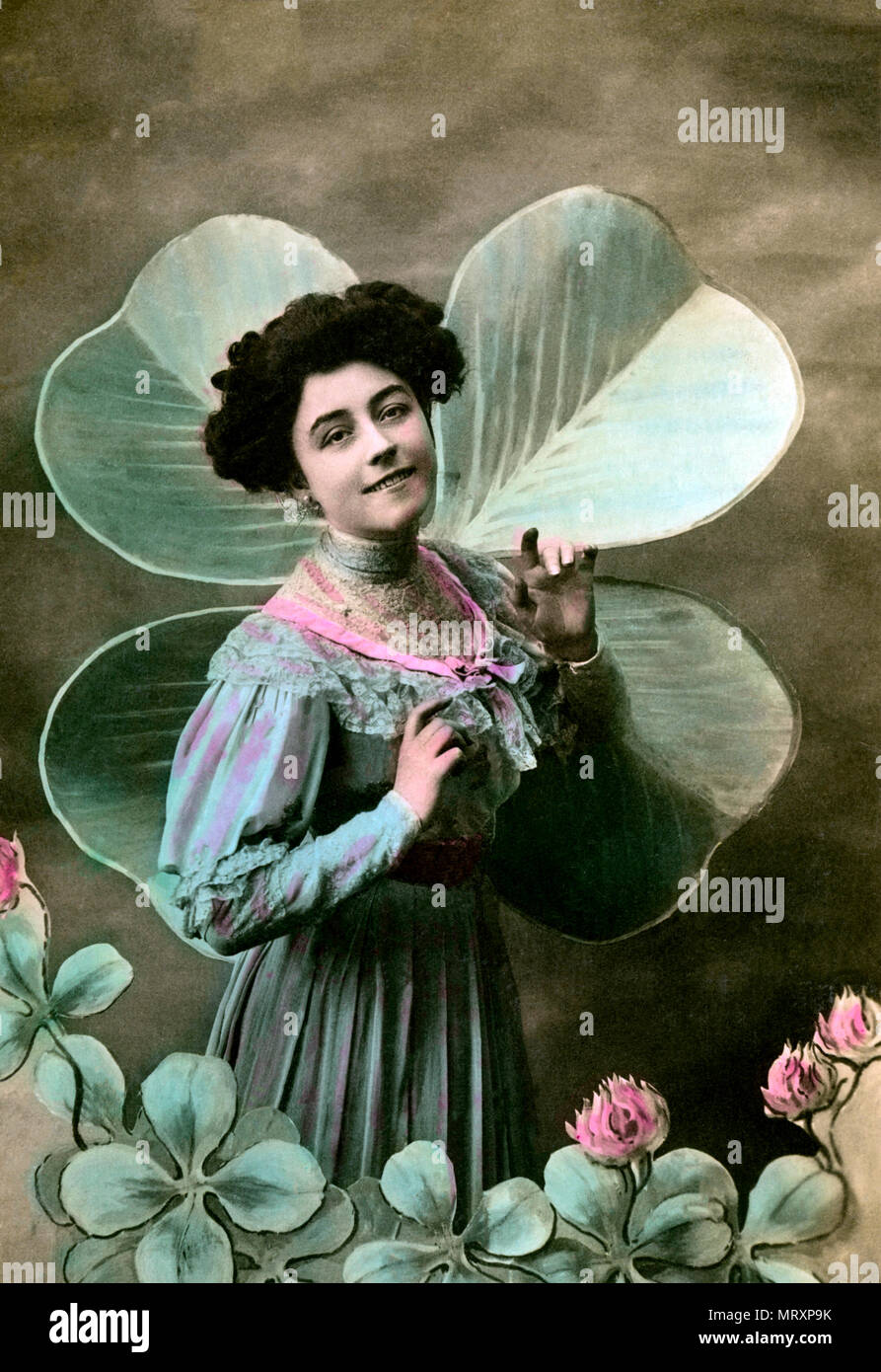 History of a leaf hi-res stock photography and images - Alamy