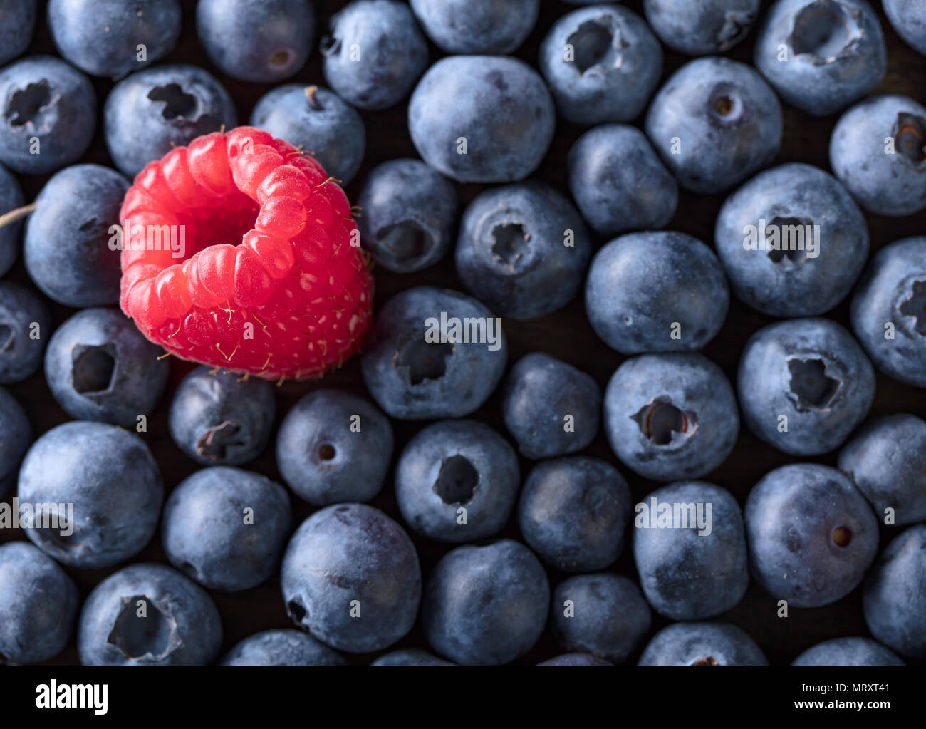 Ripe and juicy fresh picked berries closeup. Blueberries and raspberry ...