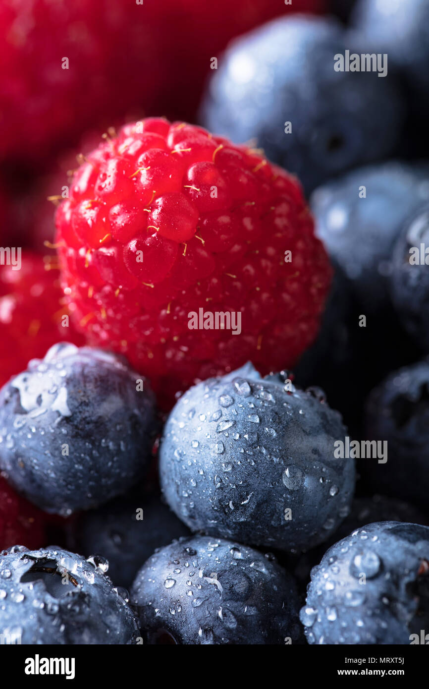 Ripe and juicy fresh picked berries closeup. Blueberries and ...