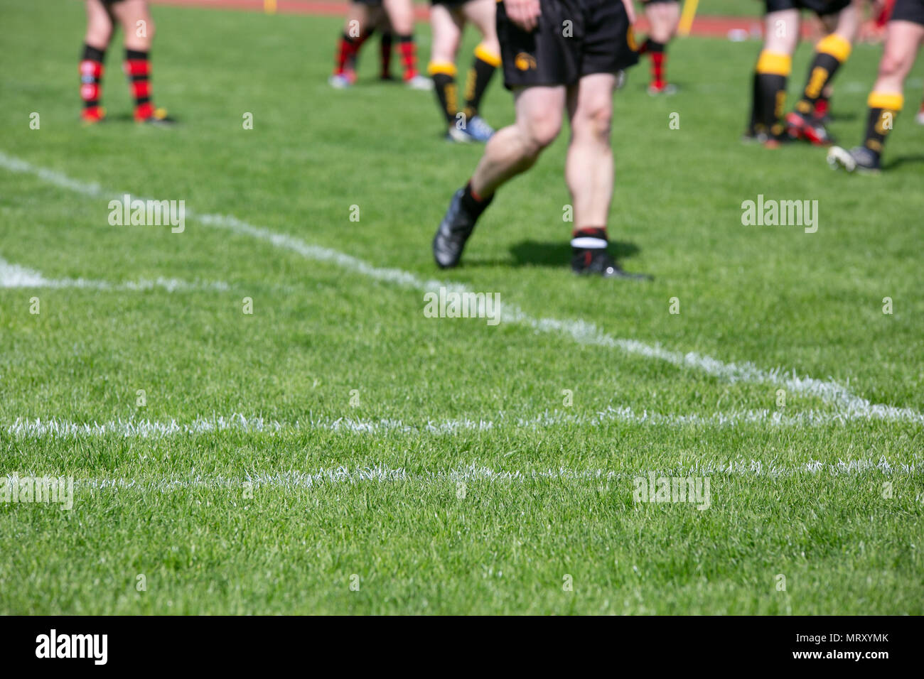 A rugby turf with white marks in summer Stock Photo - Alamy