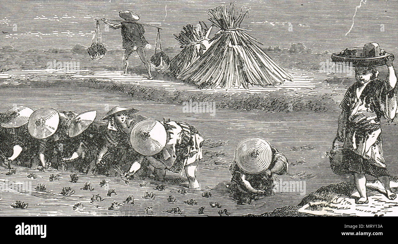 Victorian 19th century farming hi-res stock photography and images - Alamy