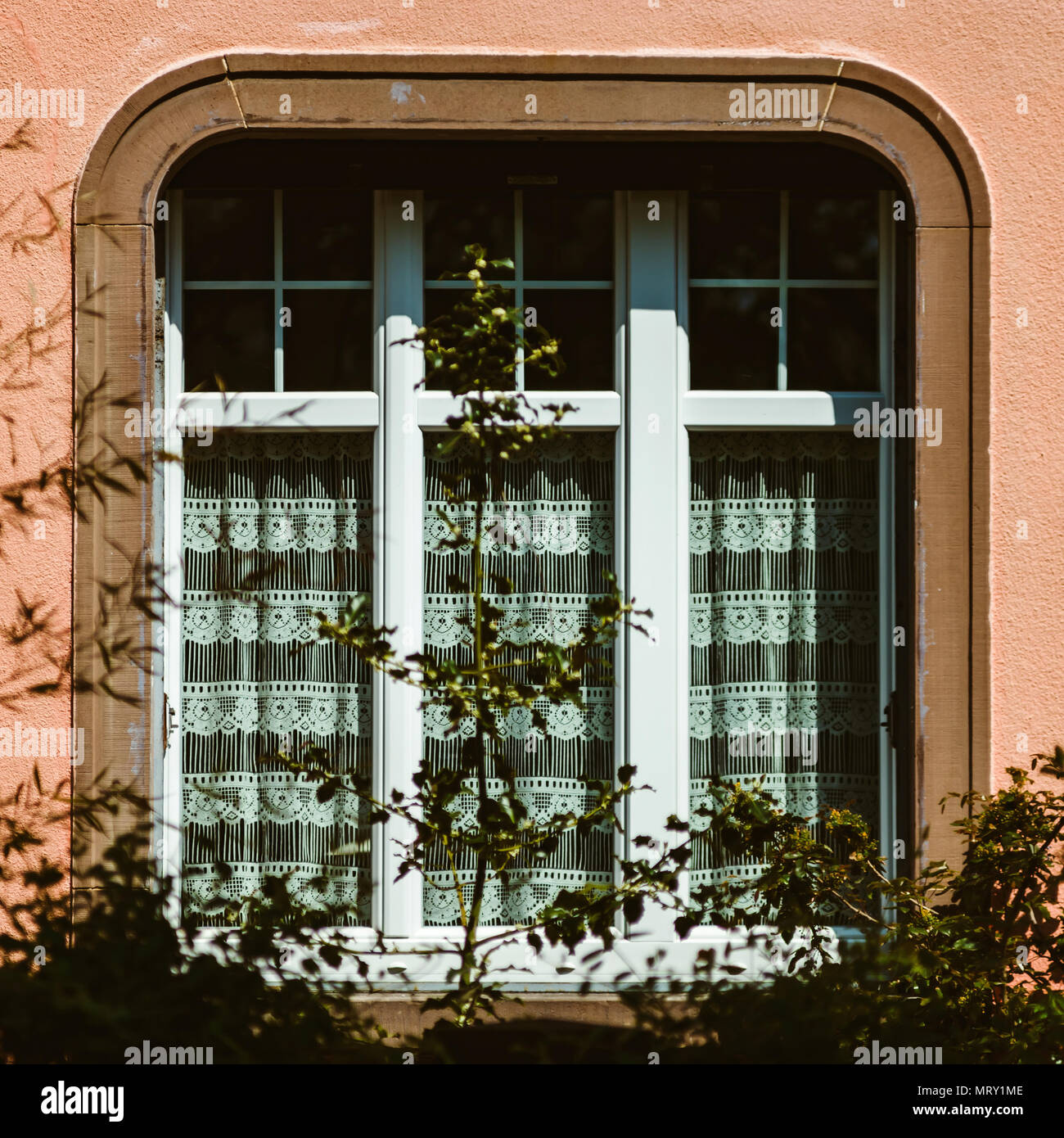 Beautiful old windows in historical center of Strasbourg, architectural ...