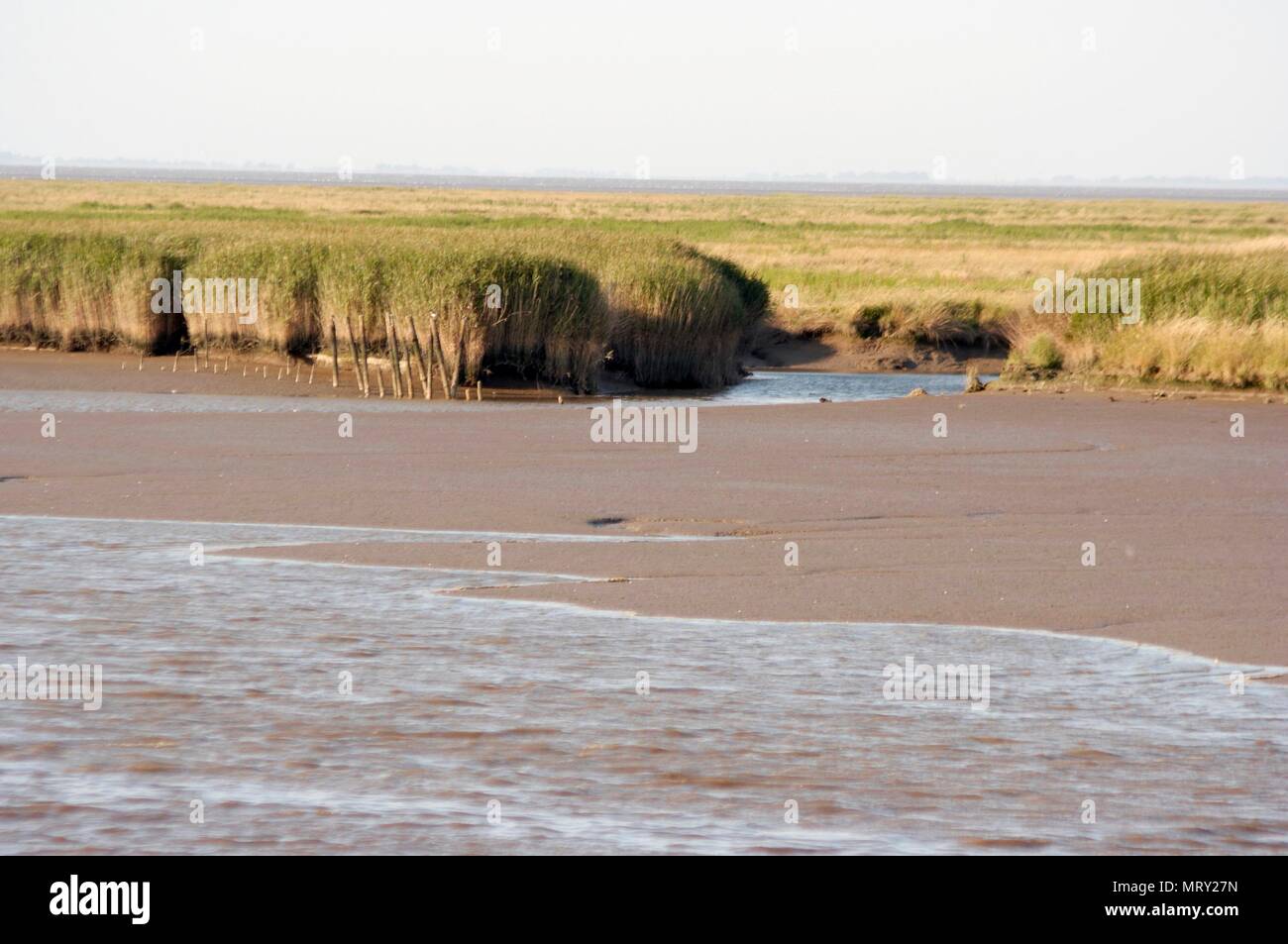 the german coastline - the waddensea Stock Photo - Alamy