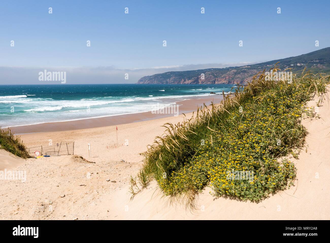 Portugal,Praia do Guincho is a popular Atlantic beach, has preferred ...