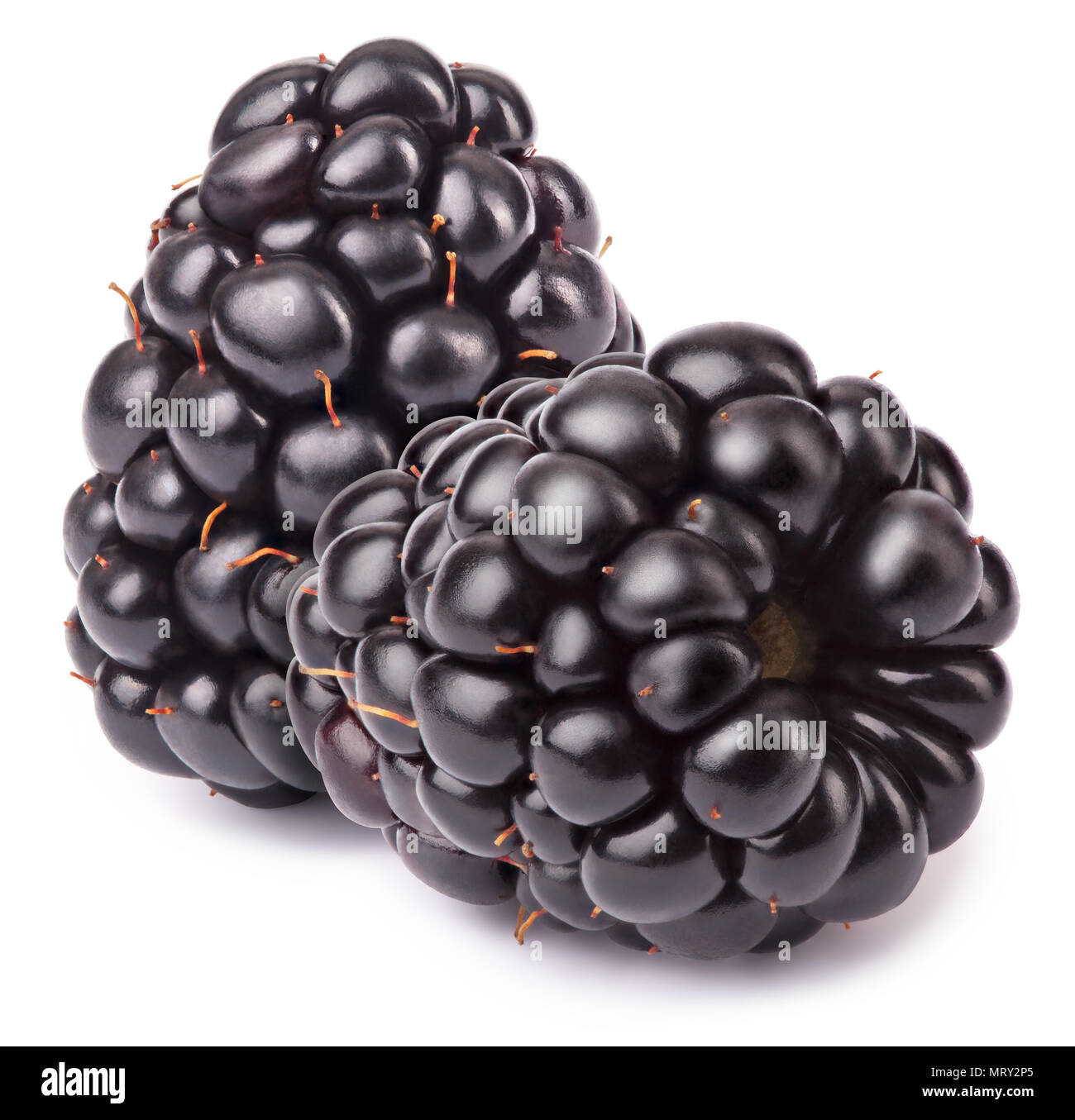 Raw blackberries hi-res stock photography and images - Alamy