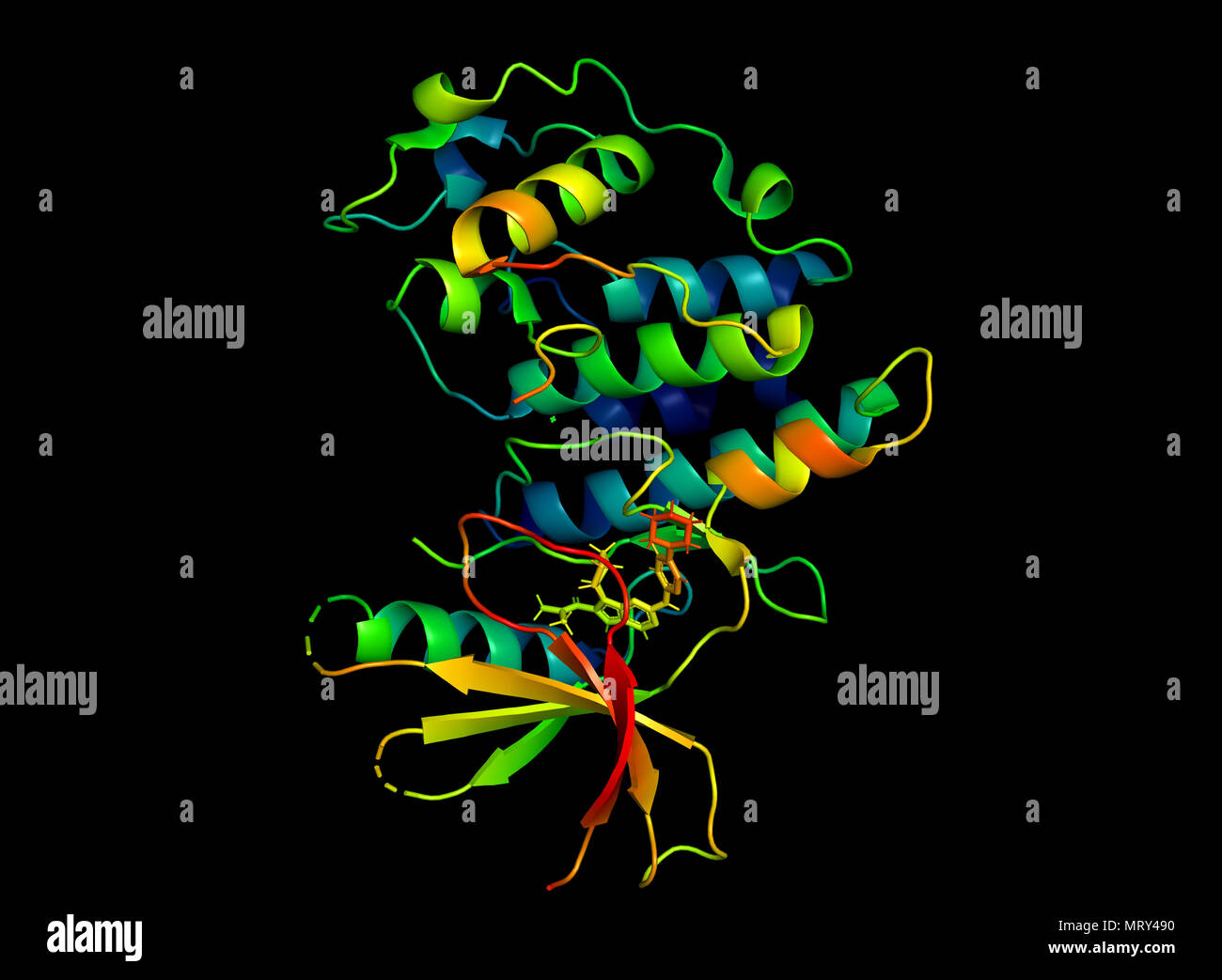 The crystal structure of the tumor marker protein. The 3D model of the ...