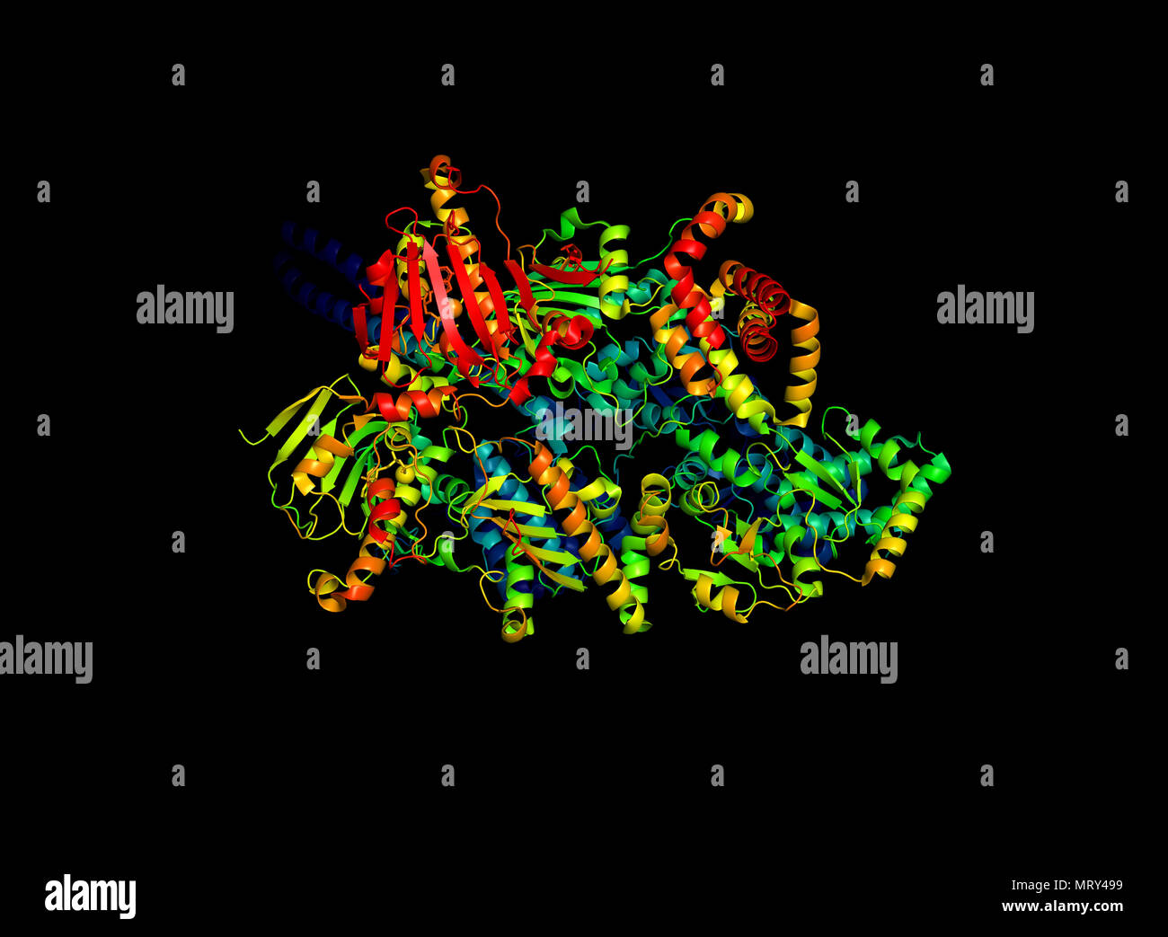 The crystal structure of the tumor marker protein. The 3D model of the ...