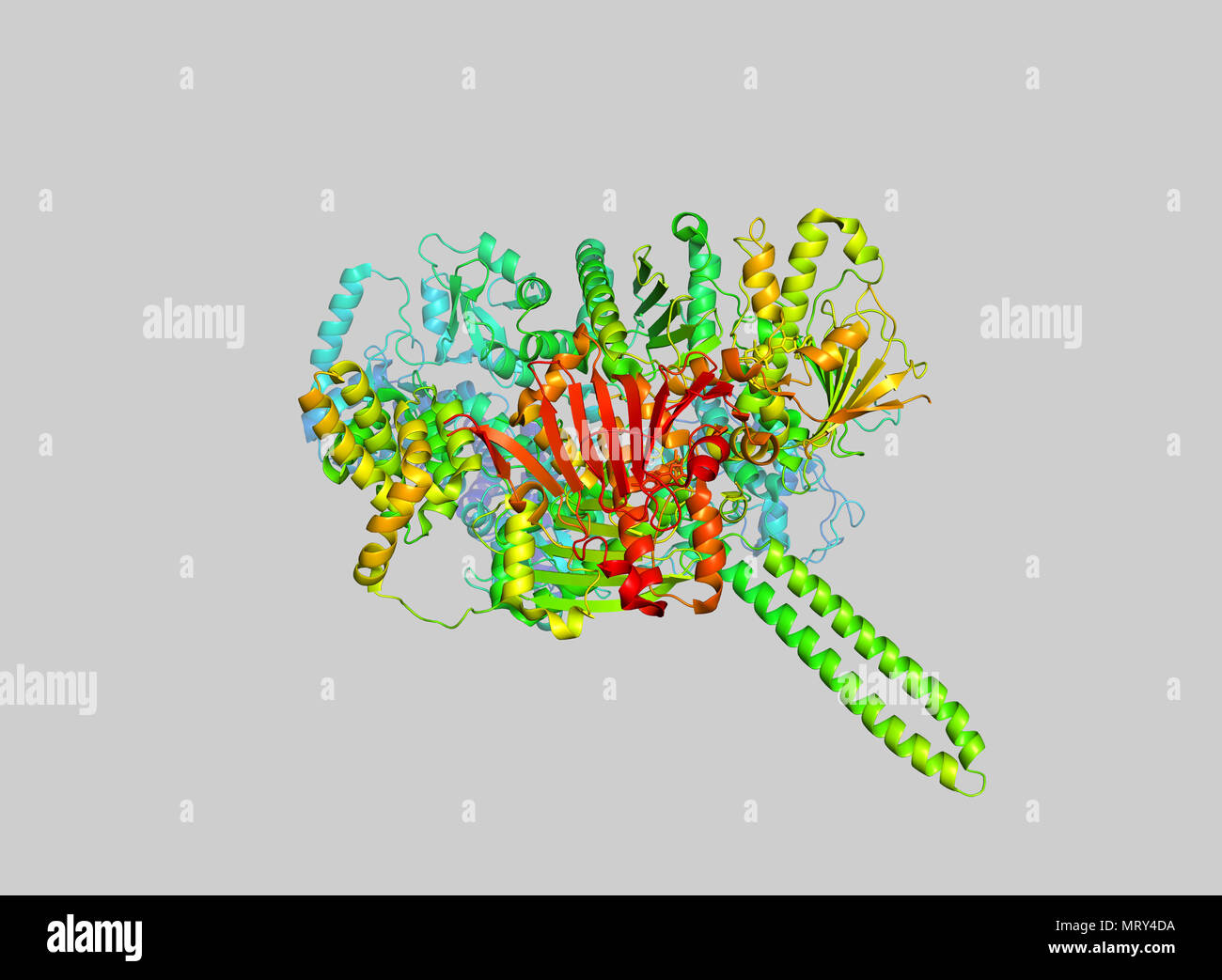 The crystal structure of the tumor marker protein. The 3D model of the ...