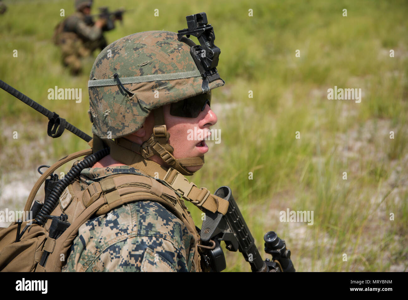 A U.S. Marine with 1st Battalion, 6th Marine Regiment, 2nd Marine ...