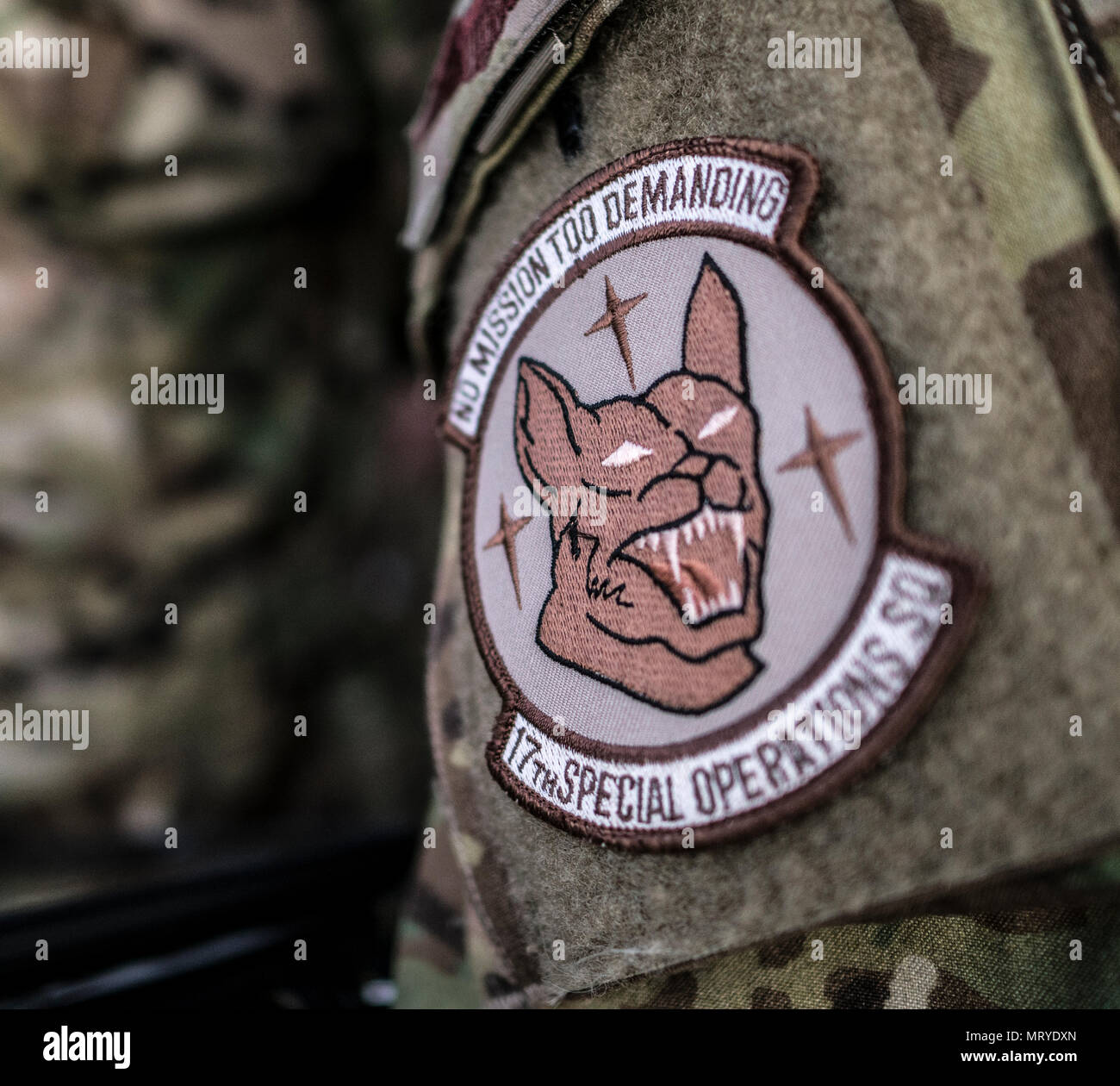 A U.S. Air Force 17th Special Operations Group MC-130J Commando II ...