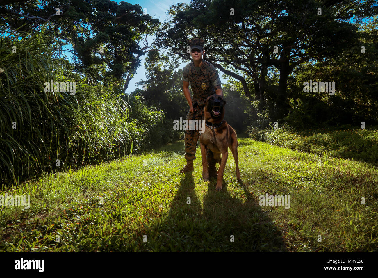 U.S. Marine Corps Cpl. Courtney Zielinski, dog handler, Provost Marshal ...