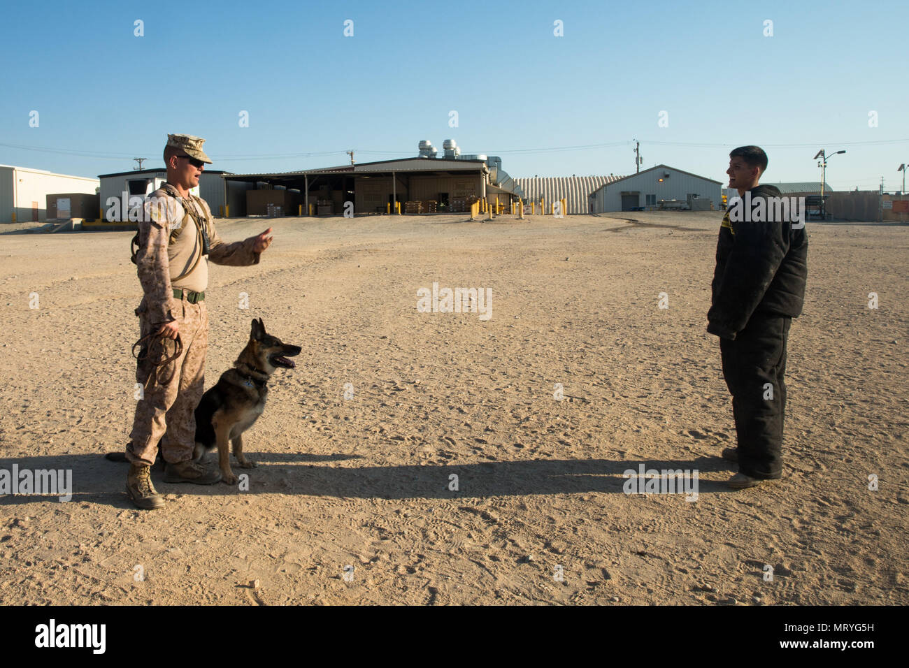 U.S. Marine Corps Lance Cpl. Nathan Simpson, left, military police dog ...