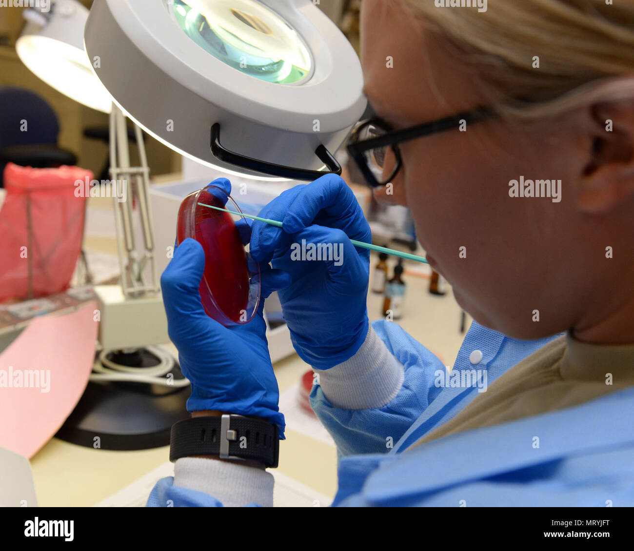 Blood agar hi-res stock photography and images - Alamy
