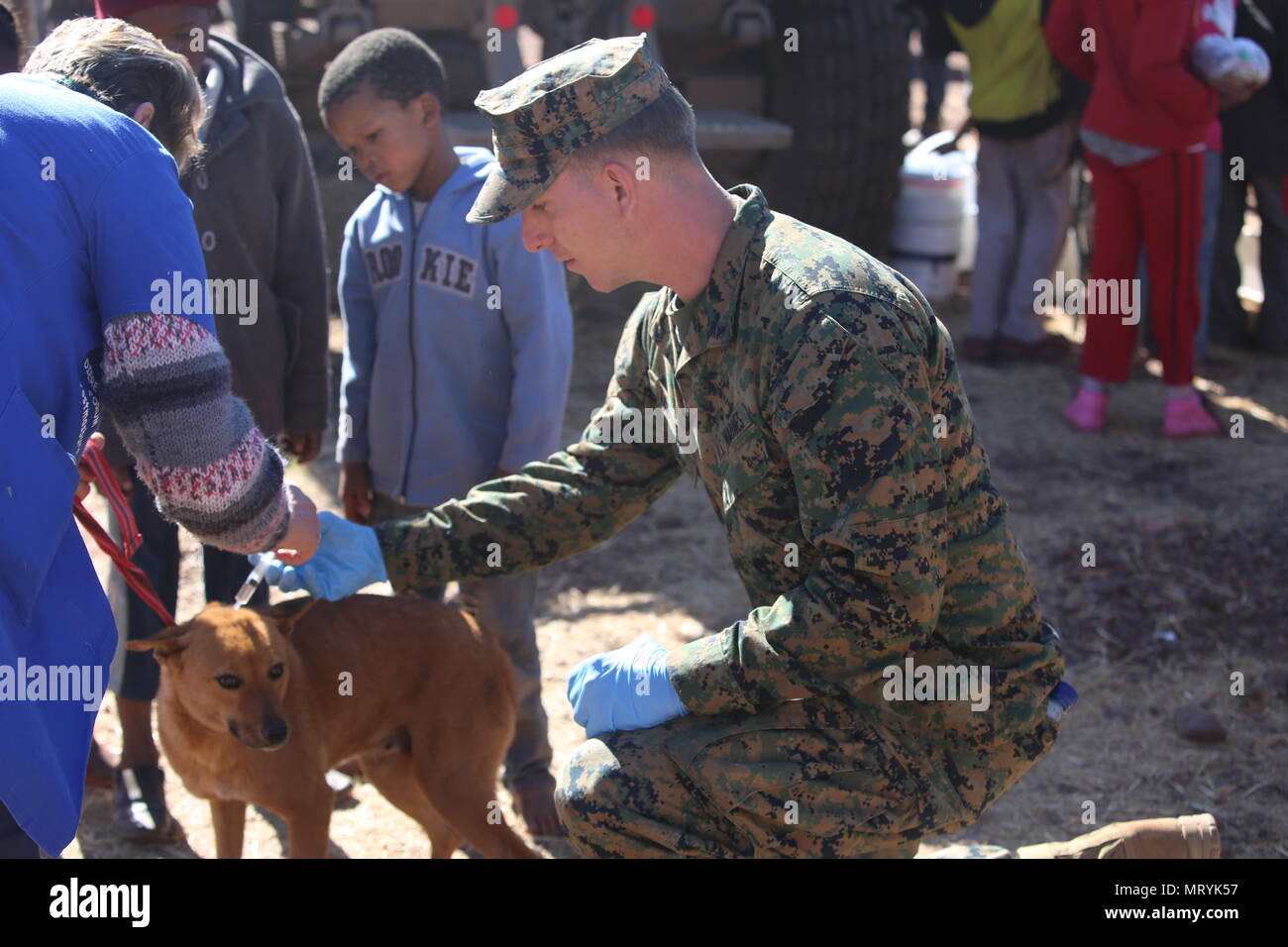 LCpl. Daniel Temple, 3rd Battalion, 25th Marines administers a flea ...