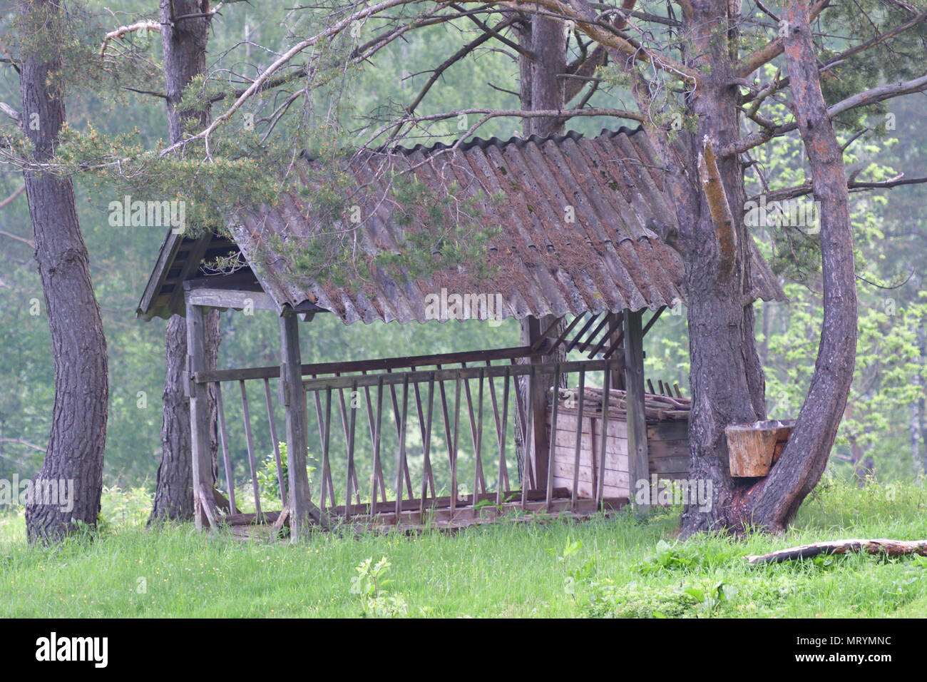 Wooded fodder rack hi-res stock photography and images - Alamy
