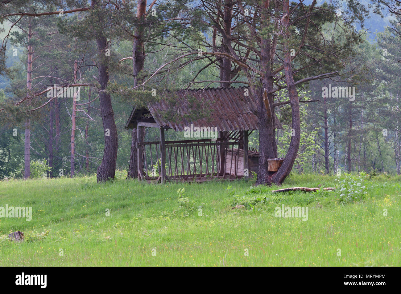 Wooded fodder rack hi-res stock photography and images - Alamy