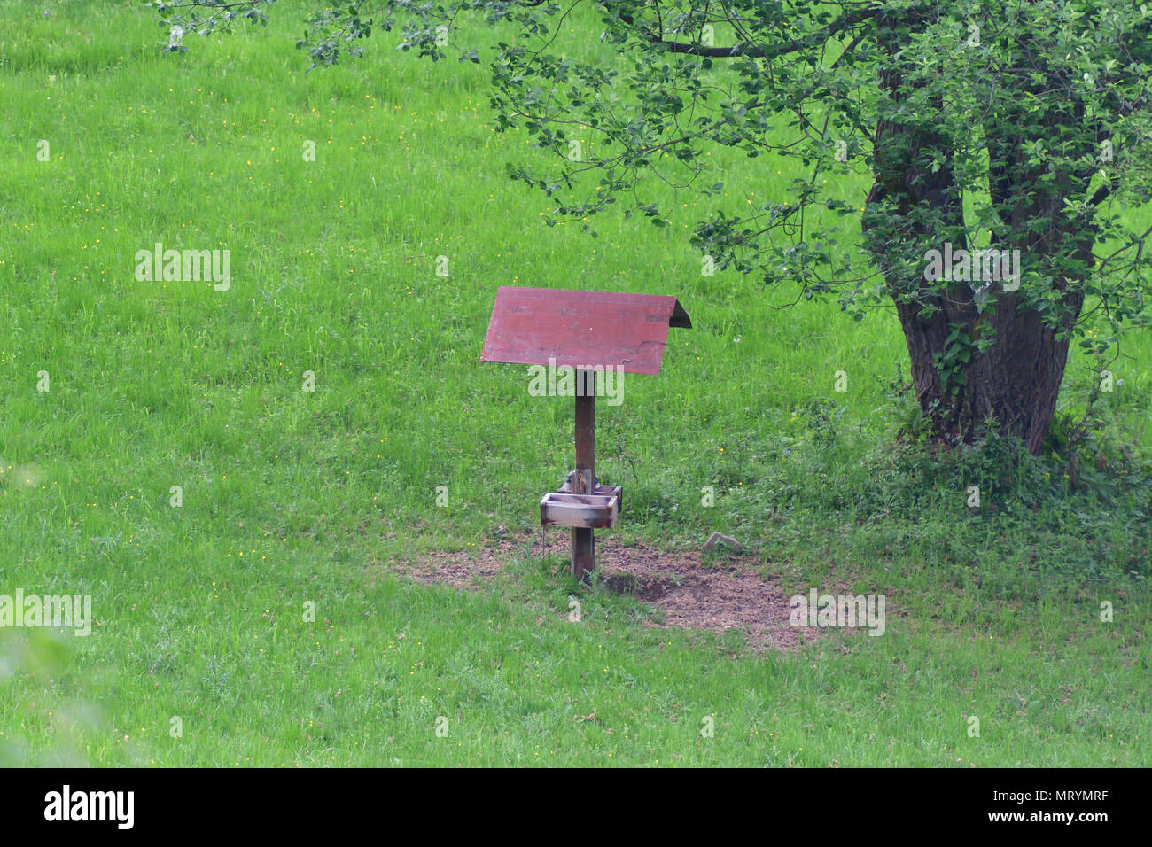 Wooded fodder rack hi-res stock photography and images - Alamy