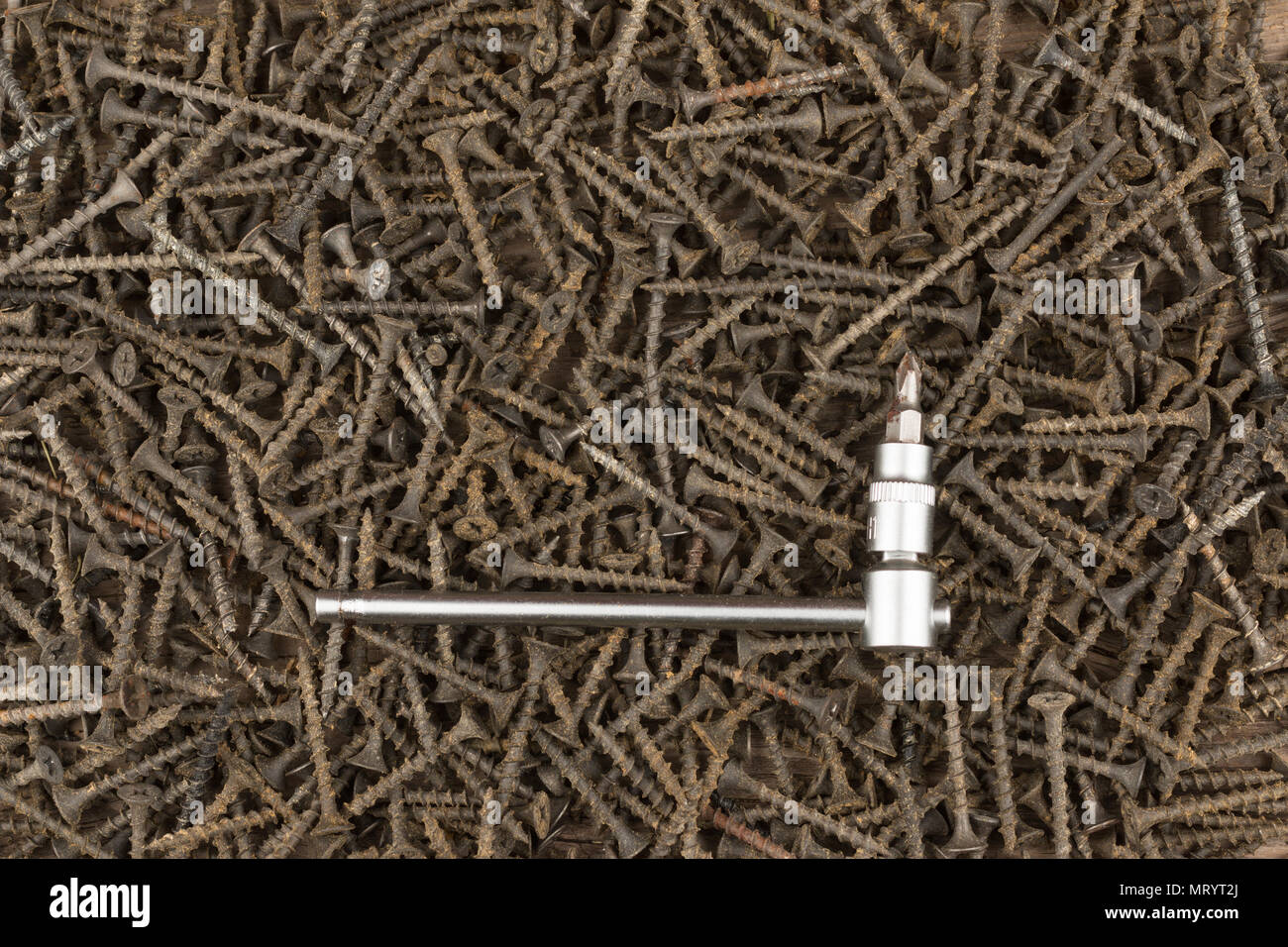Screw head from above hi-res stock photography and images - Alamy