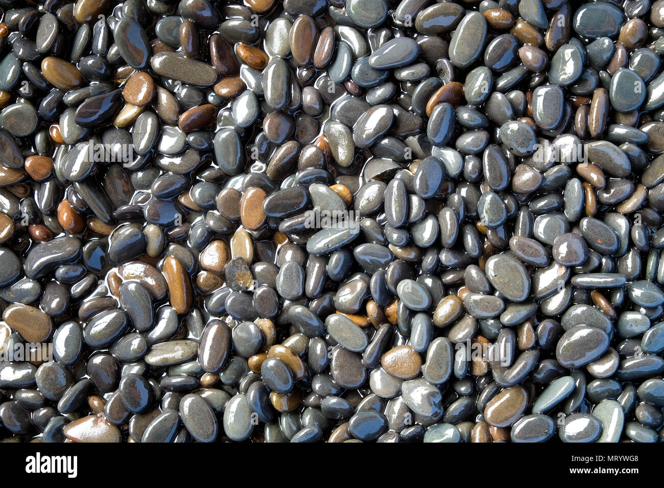 Abstract background texture, Colorful sea stones in water, top view ...