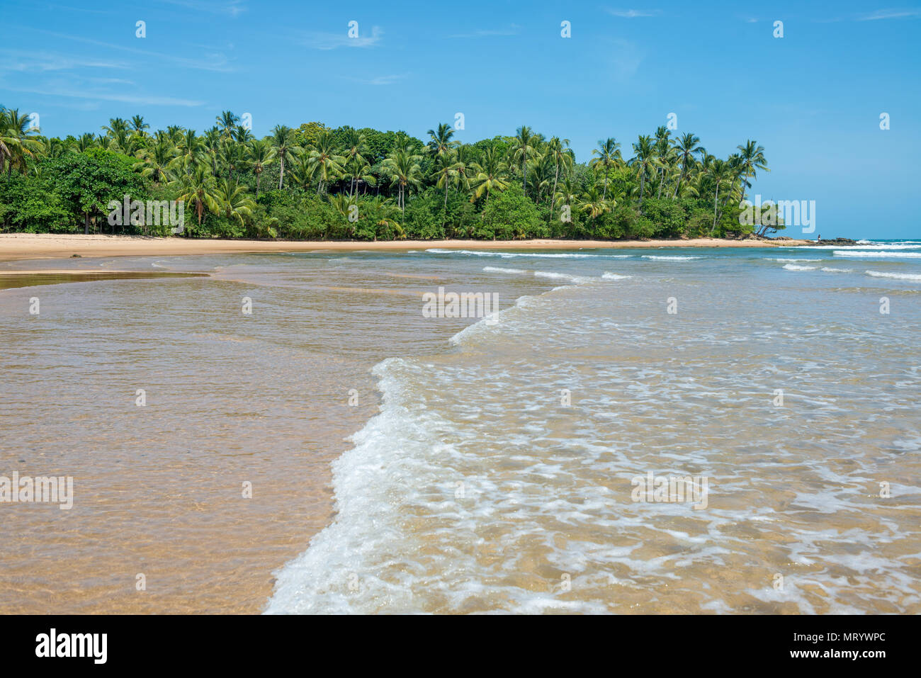 The isolated paradise beach on nice sunny day as background Stock Photo ...