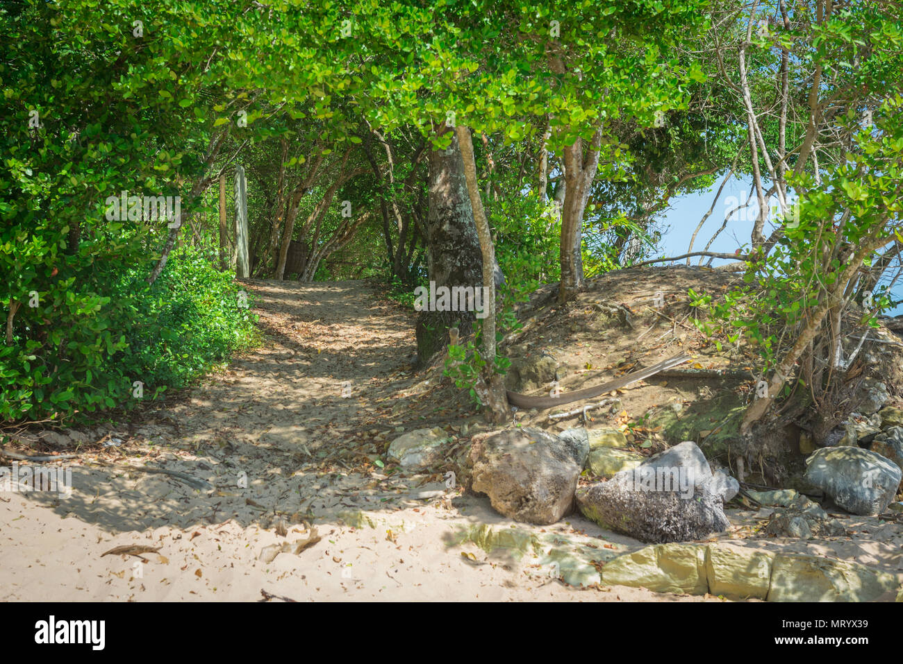 Sandy walkway at barra grande beach in Ponta do Muta Brazil Stock Photo ...