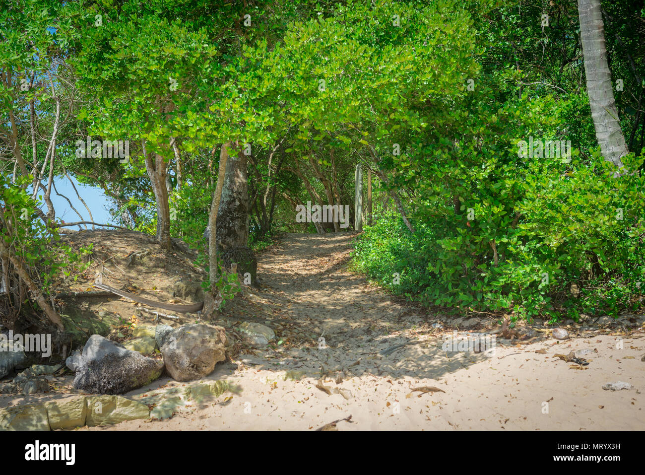 Sandy walkway at barra grande beach in Ponta do Muta Brazil Stock Photo ...