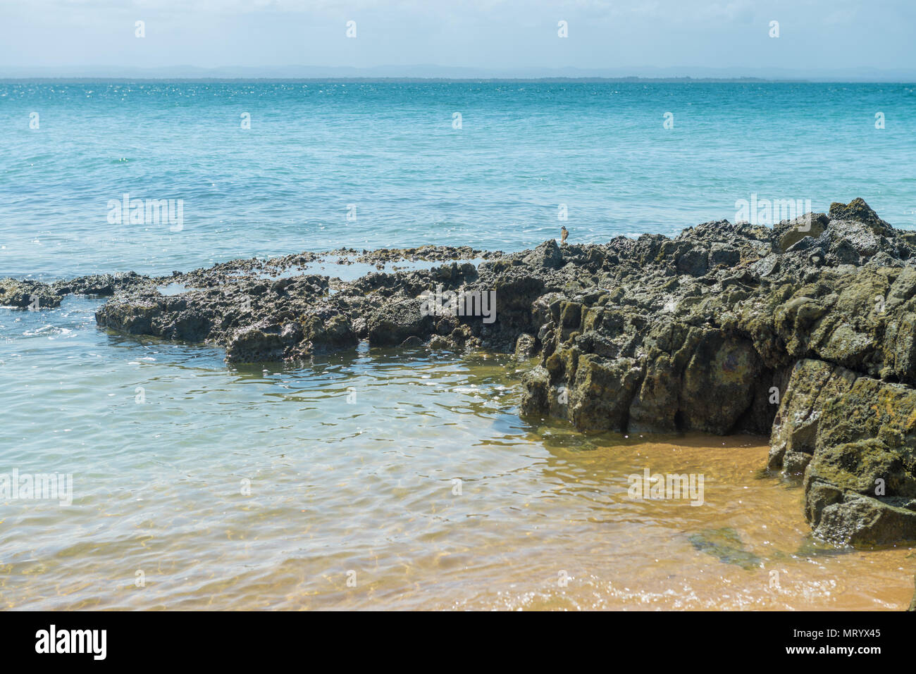 Shoreline salt water hi-res stock photography and images - Alamy