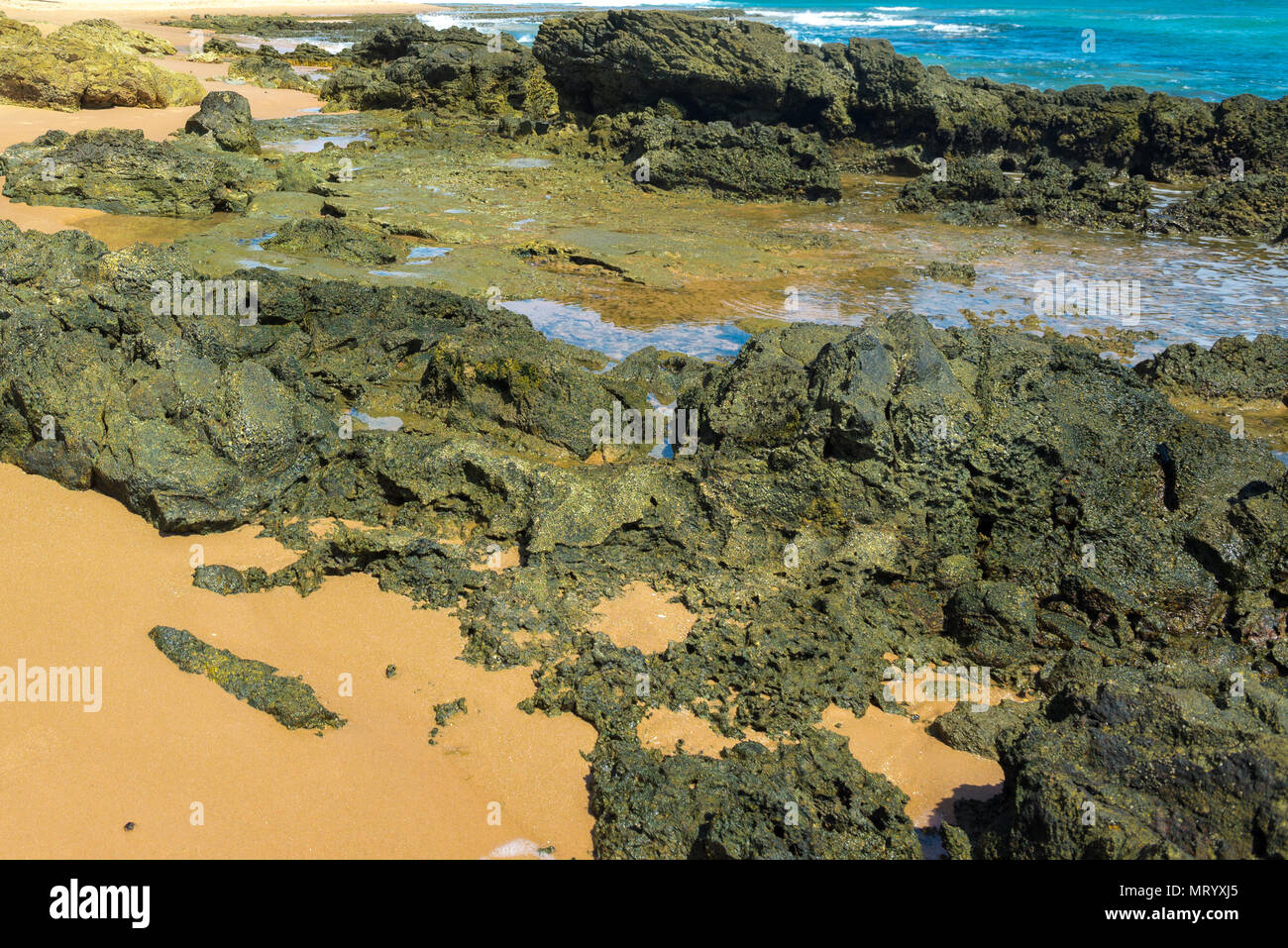 Sea water pool rocks foam hi-res stock photography and images - Alamy