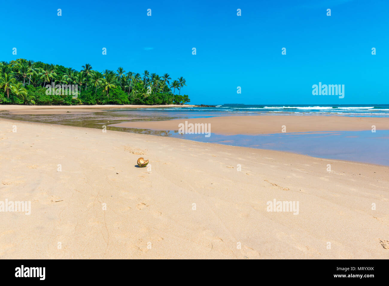 Coconut broken open hi-res stock photography and images - Alamy