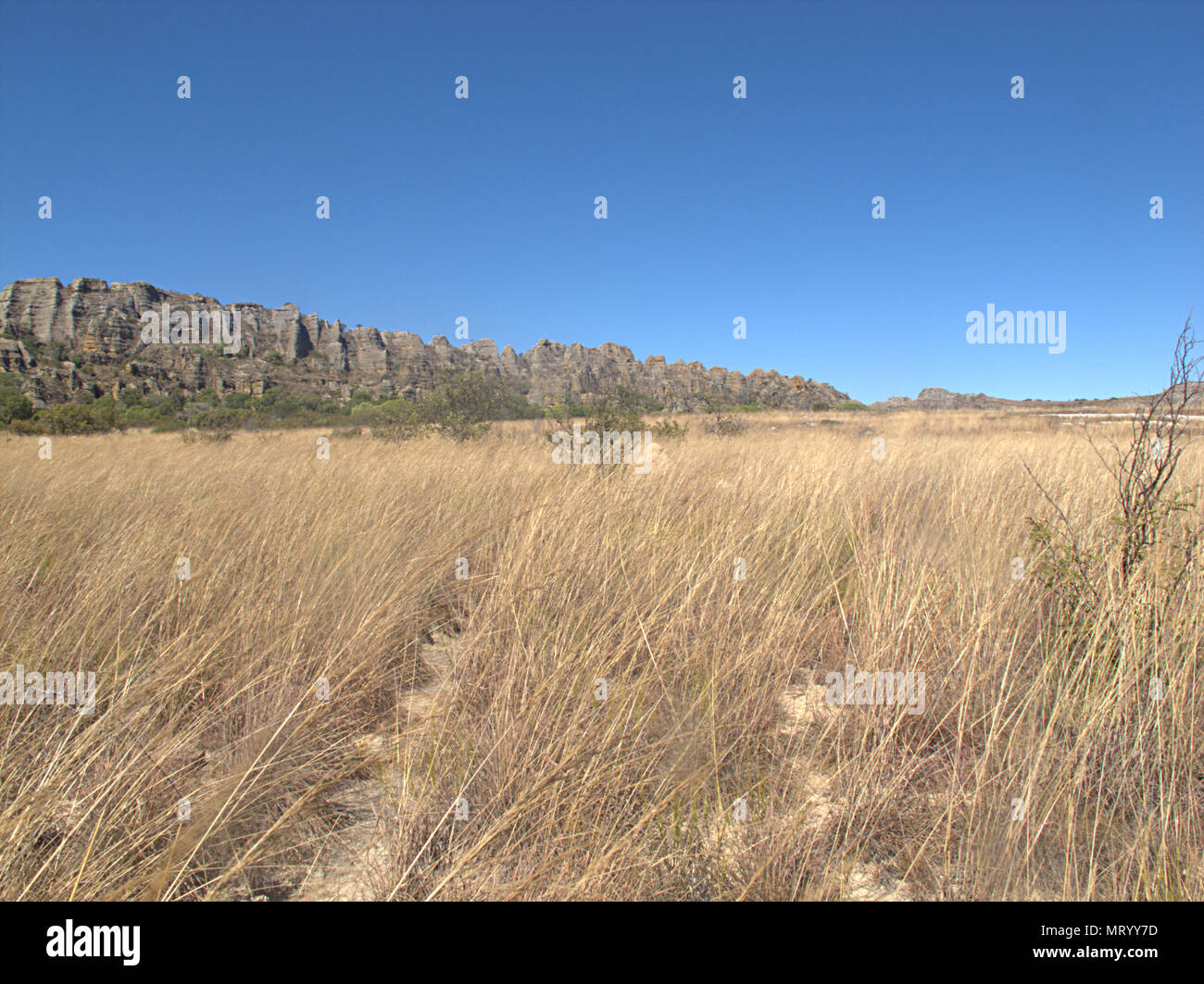 Republic south africa madagascar hi-res stock photography and images ...