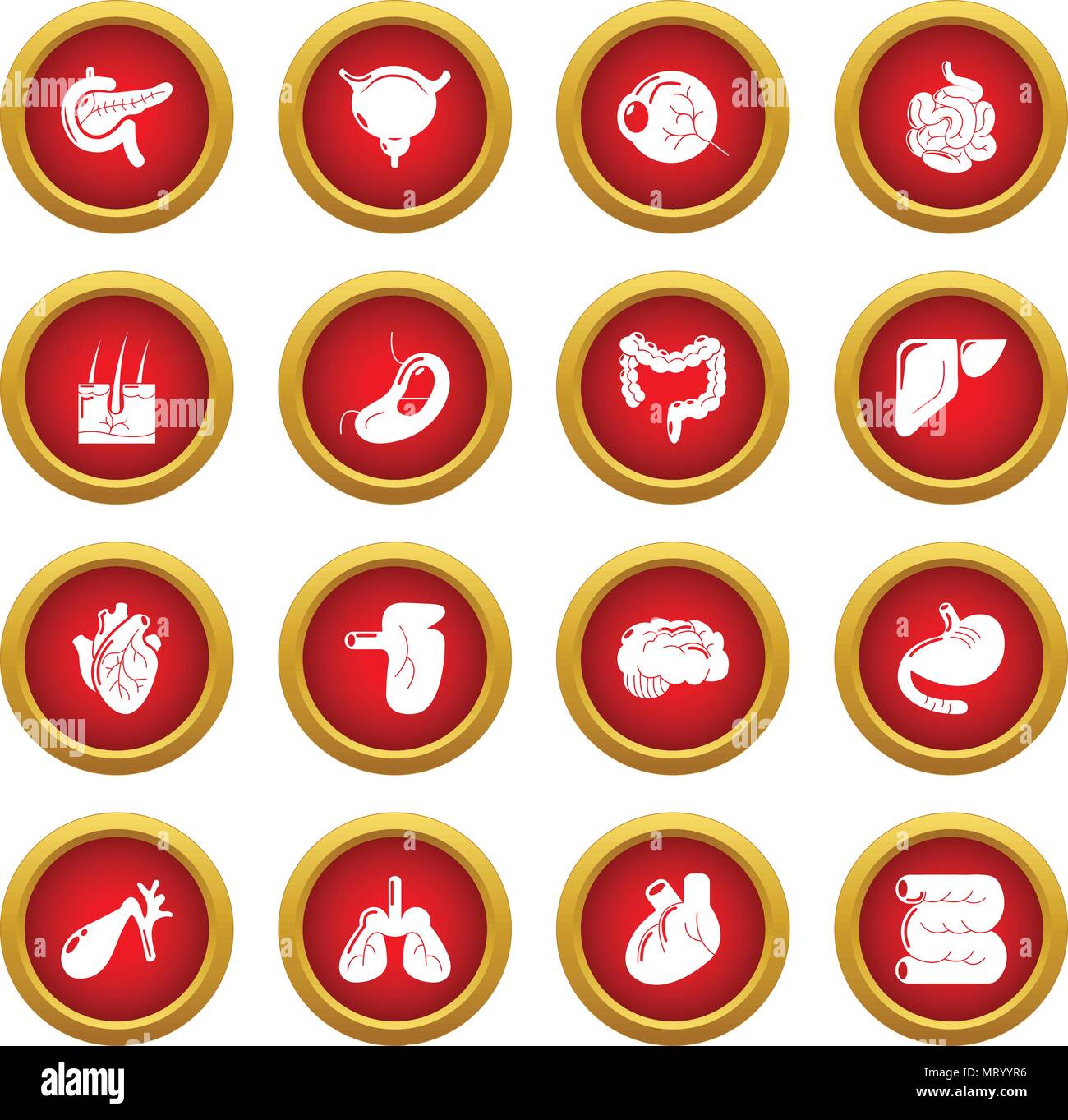 Internal human organs icons set, simple style Stock Vector Image & Art ...